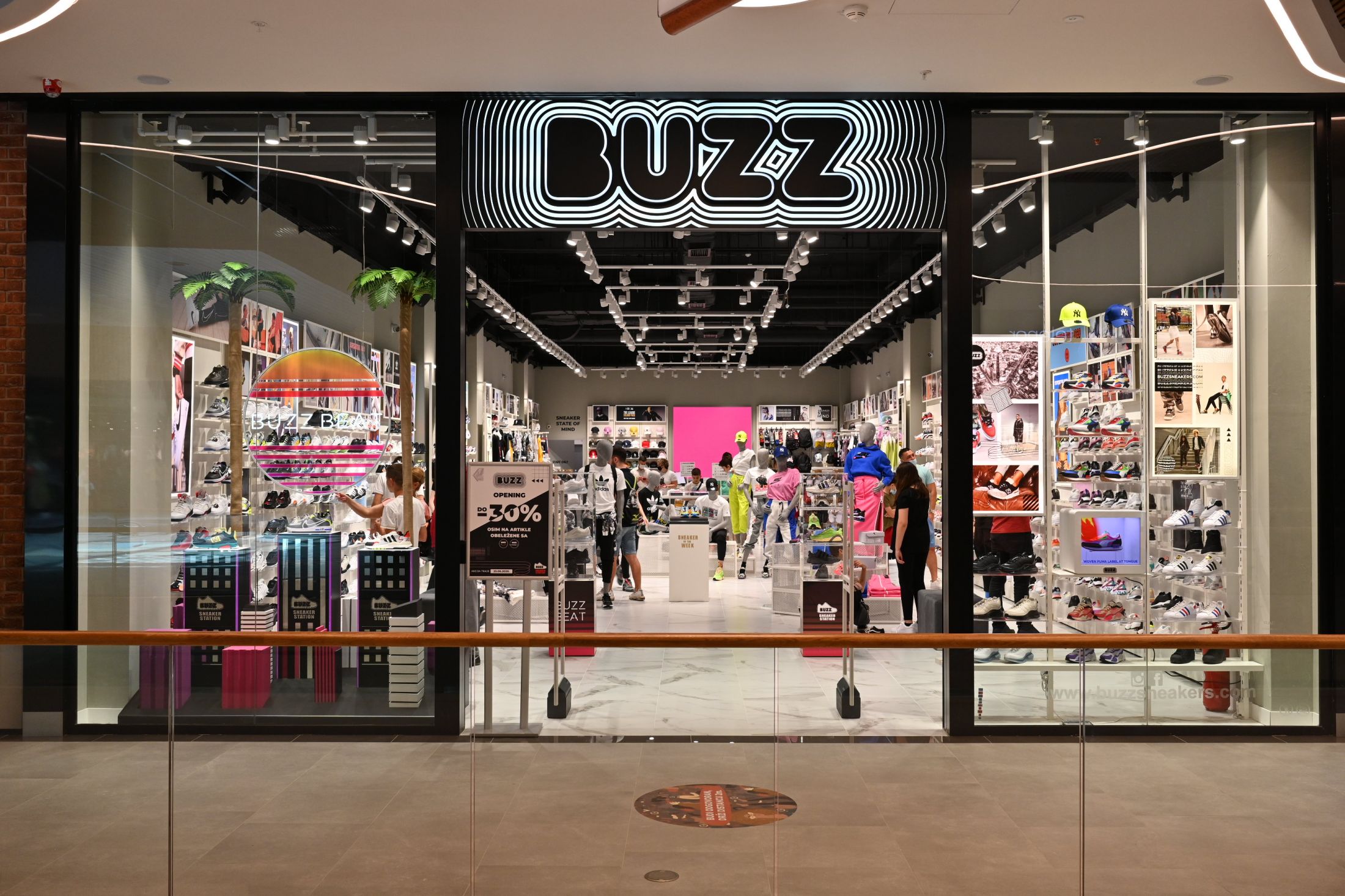 Buzz Beo | Buzz - Online Shop