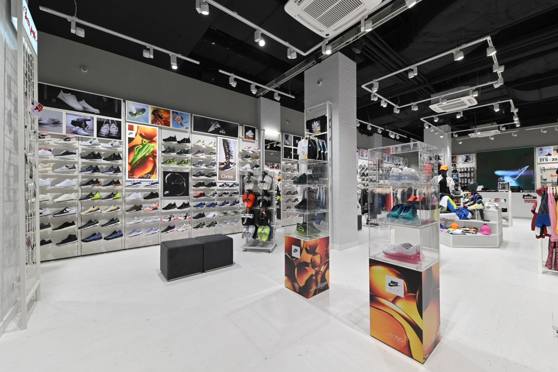 BUZZ TC Ada Mall Beogra | Buzz - Online Shop