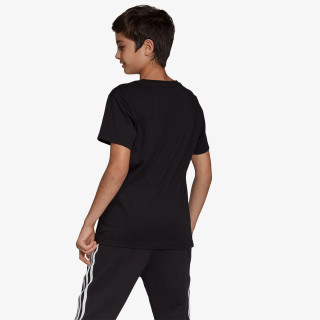 adidas Majica TREFOIL | Buzz - Online Shop